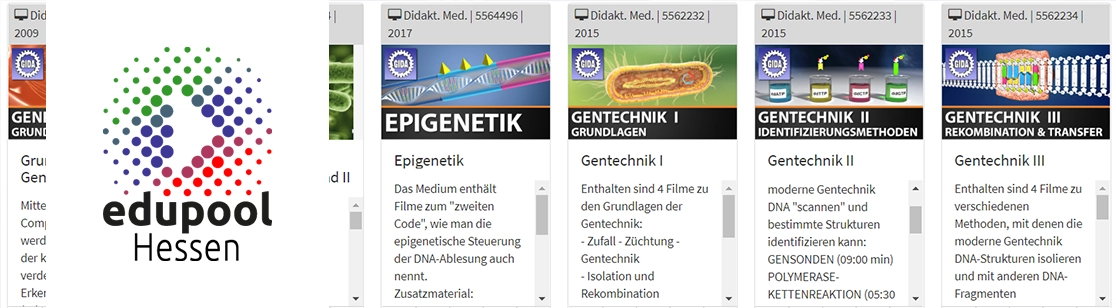mainTube edupool-hessen